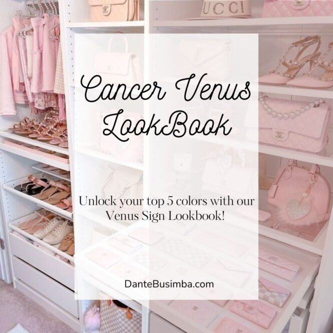 Cancer Venus Lookbook - Danté Busimba