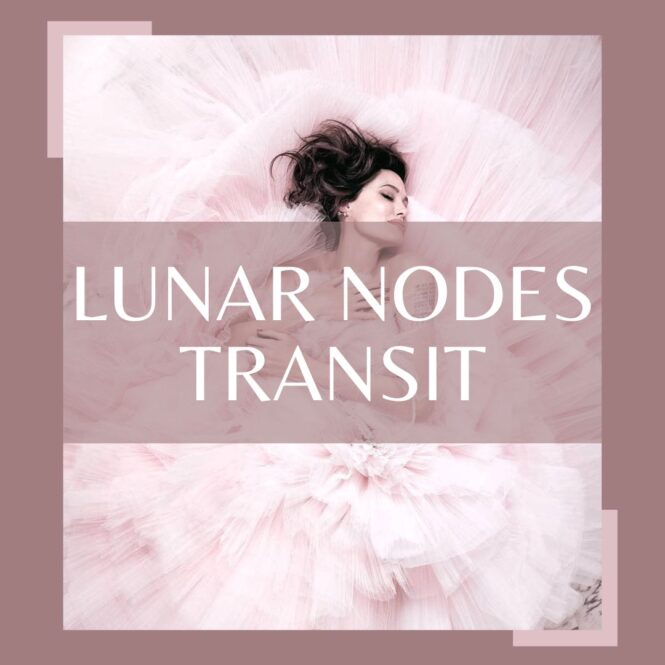 Lunar Nodes Transition; Fashion Influence - Danté Busimba